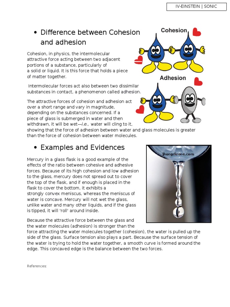 Cohesion vs. Adhesion Explained | PDF | Science & Mathematics
