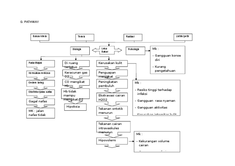 Pathway Luka Bakar | PDF