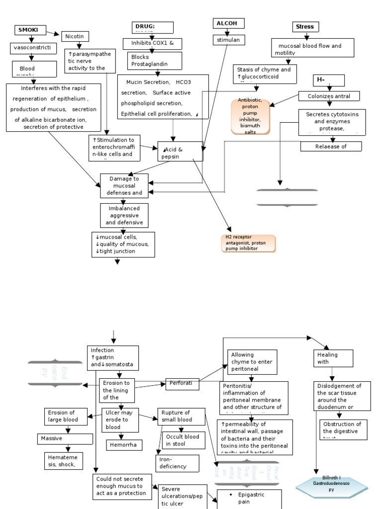 Pathophysiology of PUD | PDF | Gastroenterology | Medical Specialties