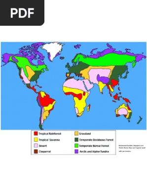 Biomes Of The World Worksheet Pdf