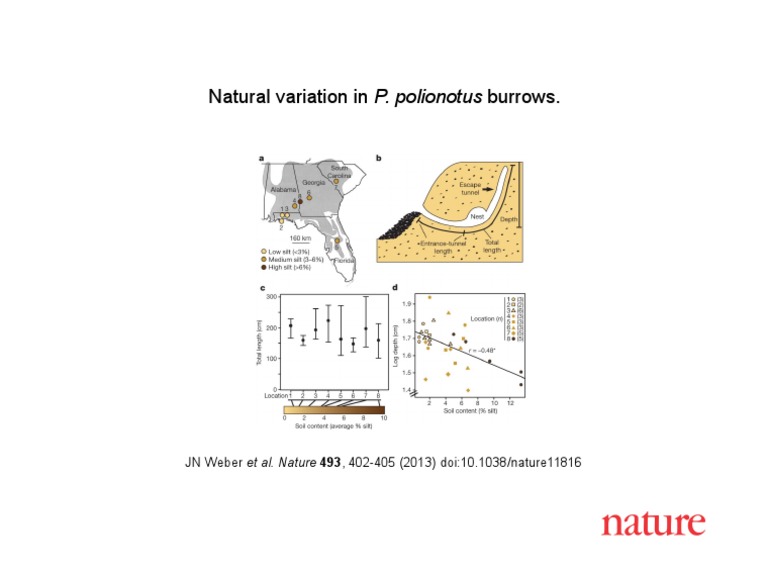 Nature Document | PDF | Wellness | Science & Mathematics