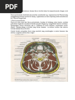 Dokumen - Tips - 1 Traktus Piramidalis Dan Ekstrapiramidalis | PDF