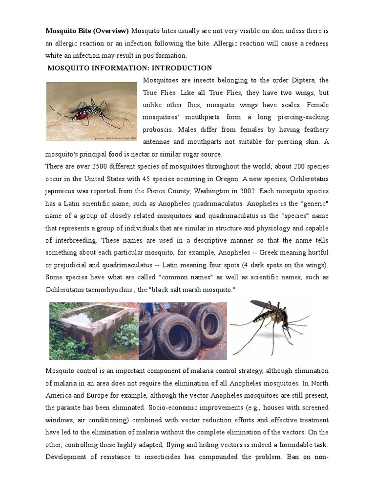 Mosquito Bite (Overview) Mosquito Bites Usually Are Not Very Visible On ...