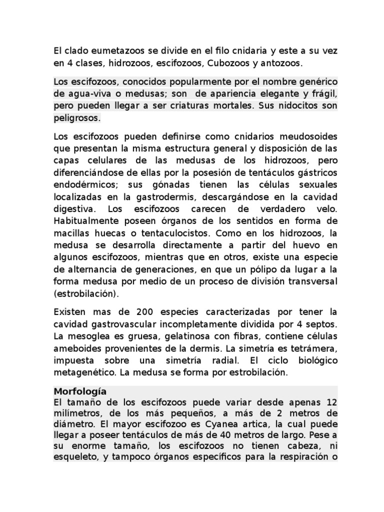 Escifozoos | PDF | Taxonomía Animal | Zoología