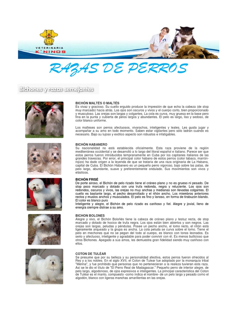 Razas de Perros | PDF