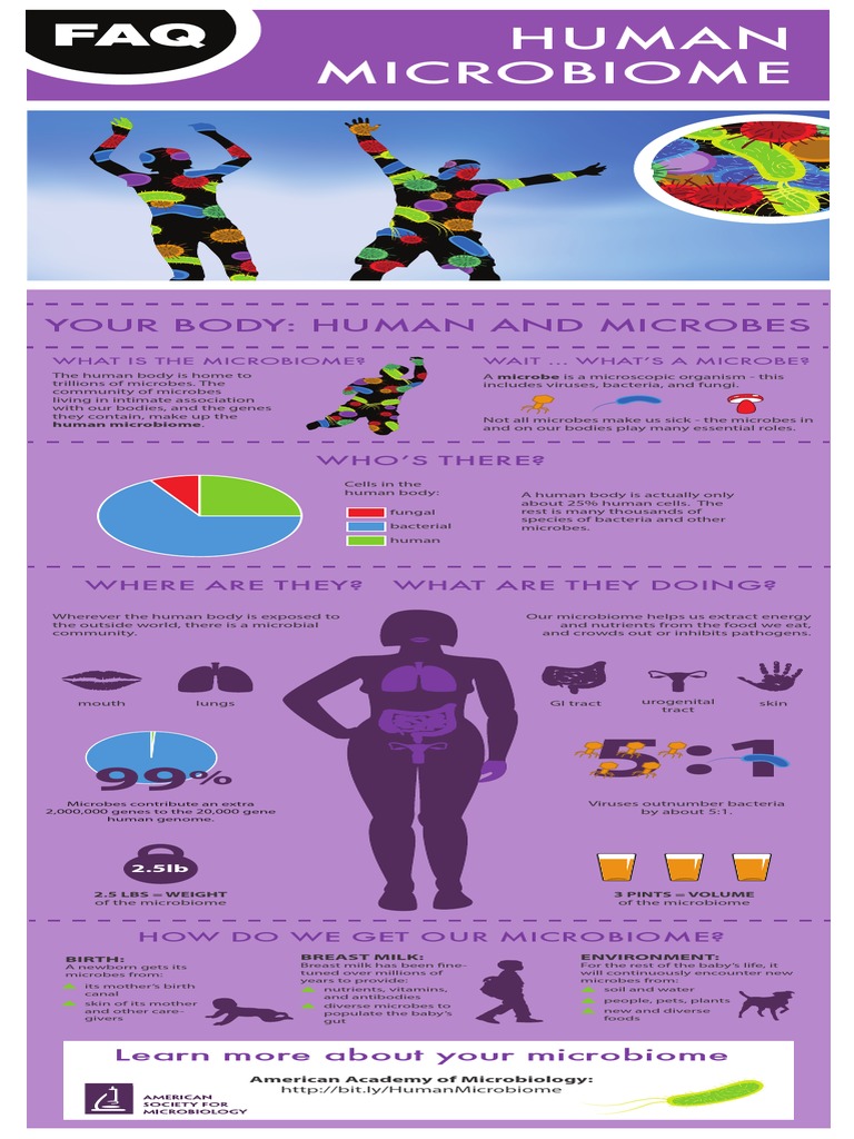 Asm Microbiome Infographic | PDF