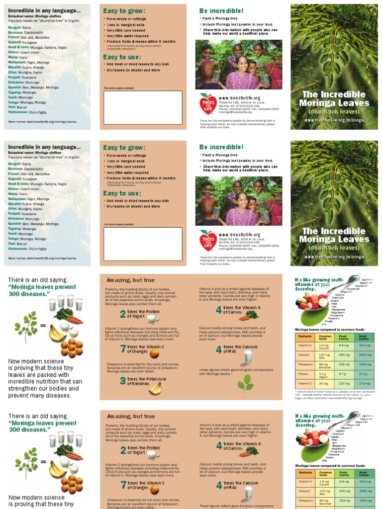 Moringa Brochure 2up a4 | Magnesium | Vitamin C