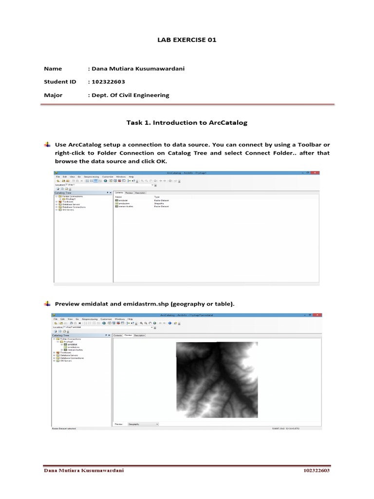 ArcCatalog and ArcMap Basics | PDF | Arc Gis | Data