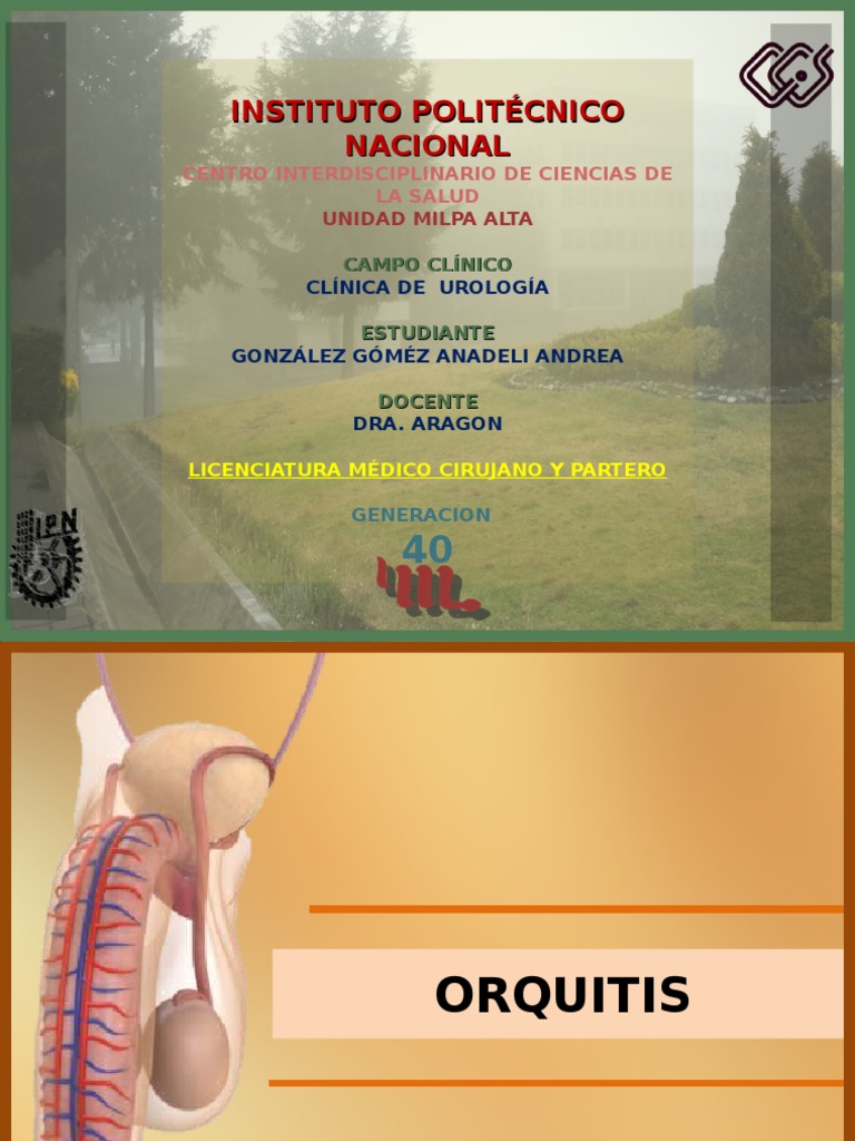 Orquitis y Epididimitis | Medicina CLINICA | Especialidades Medicas