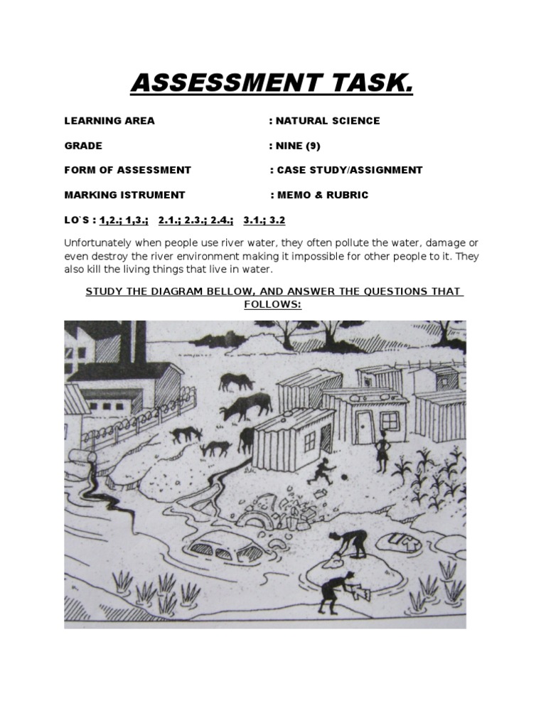 Grade 9 Water Pollution Case Study | PDF | Pollution | Water Pollution