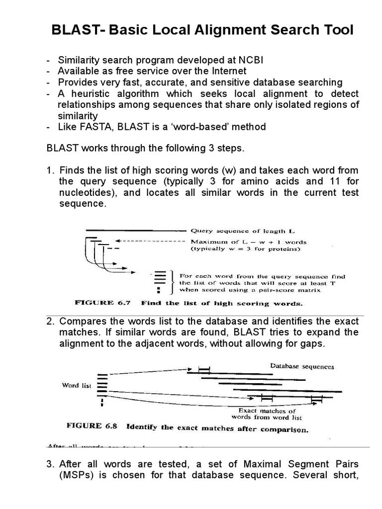 Blast | PDF | Blast | Sequence Alignment