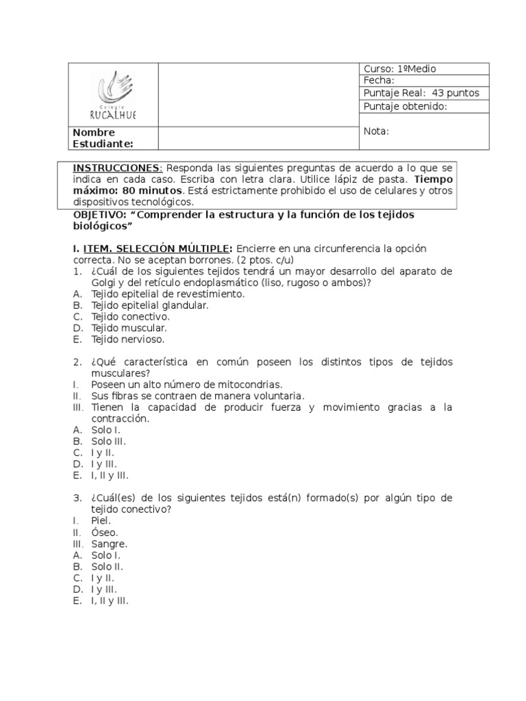 Prueba Tejidos | PDF | Informática