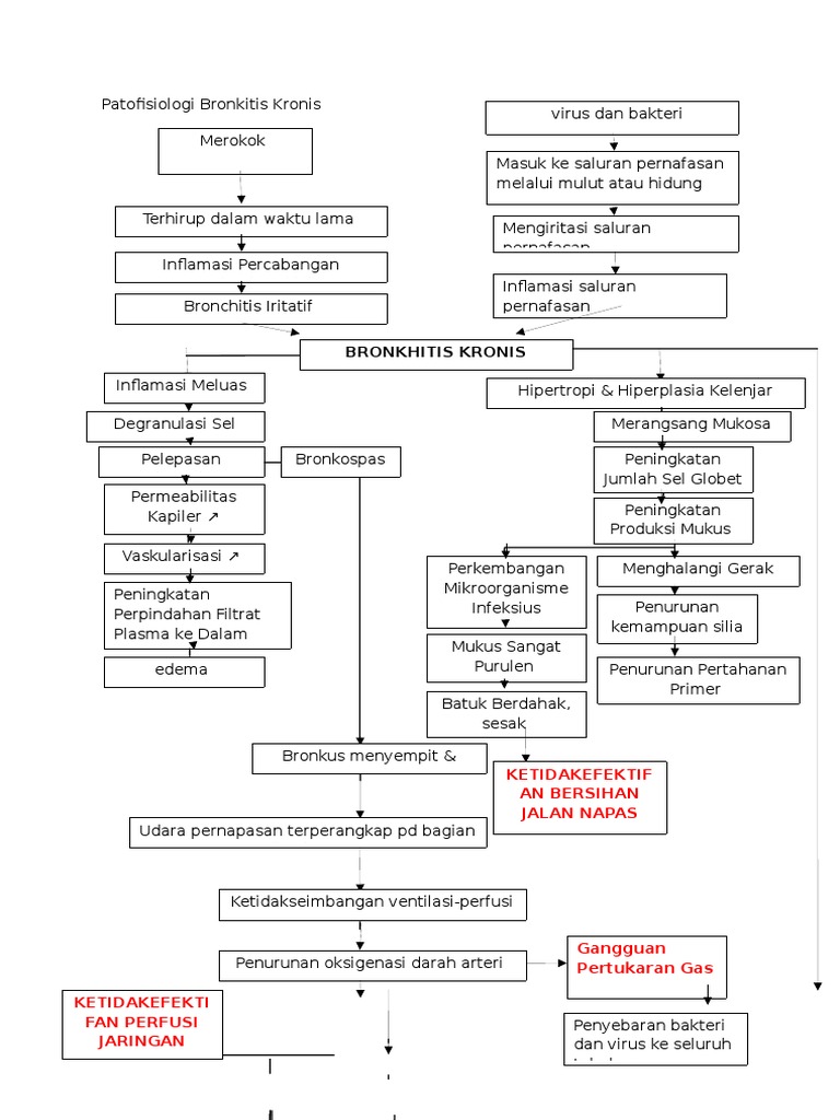 Patofisiologi Bronkitis Kronis