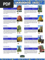 Tree Identification Cards | PDF | Flora | Trees
