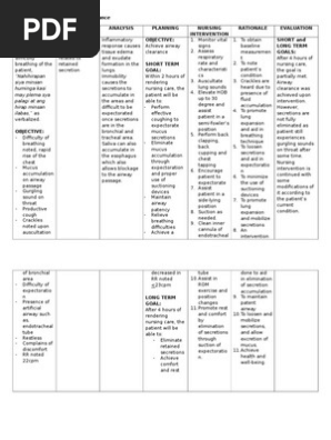 Ncp Ineffective Airway Clearance Breathing Respiratory Tract