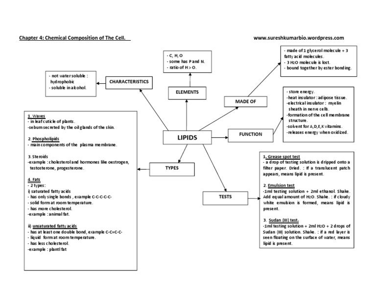 Chapter 4 Lipid Mind Map | PDF