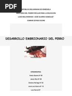 Atlas del Desarrollo Embrionario del Perro | PDF | Embrión | Procesos ...