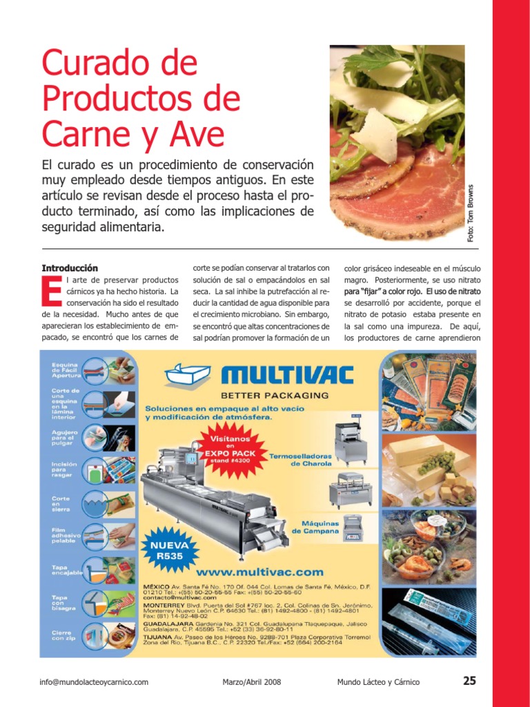 Curado de Carne: Proceso y Seguridad | PDF | Salud y bienestar ...