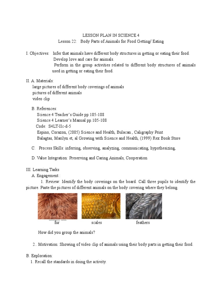 Animal Body Parts for Food Acquisition | PDF | Foods | Lesson Plan