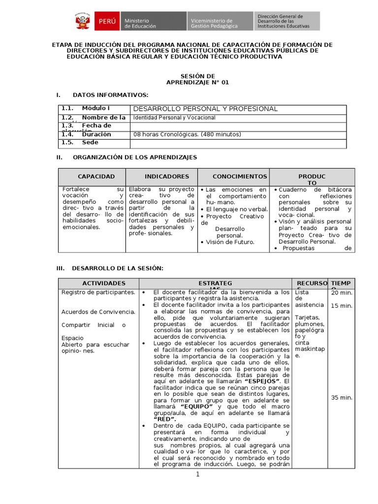 Sesion O1 Identidad Personal y Vocacional | PDF | Liderazgo ...