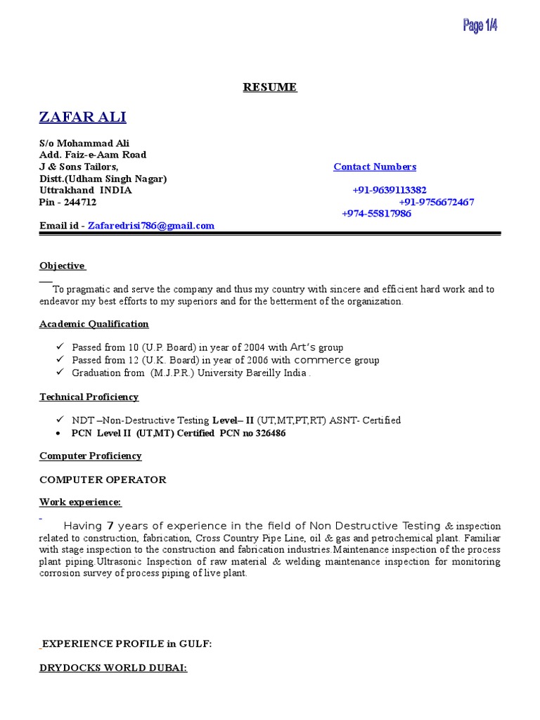 Resume for NDT Inspector Position | PDF | Nondestructive Testing | Pipe ...
