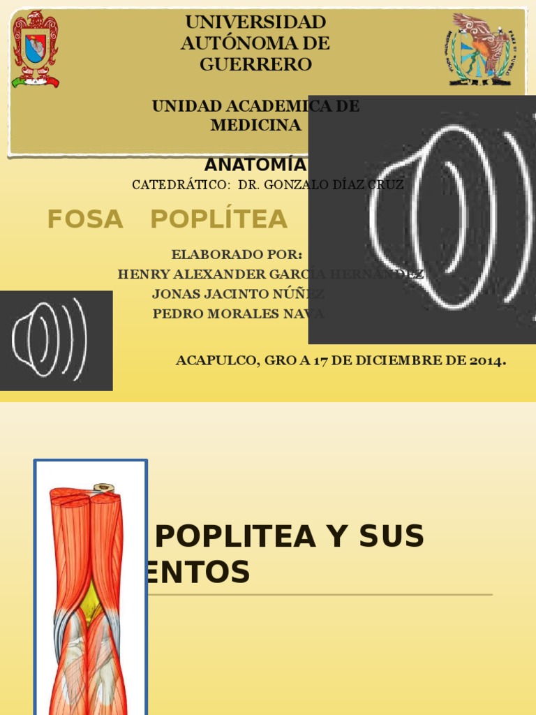 Anatomia-Fosa Poplitea | PDF | Rodilla | Extremidades (anatomía)