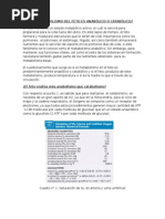 Mecanismo de Schultze | PDF | Placenta | Parto