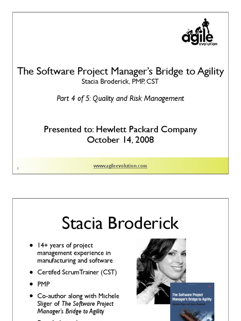 Software Project Manager's Bridge To Quality - Quality and Risk ...