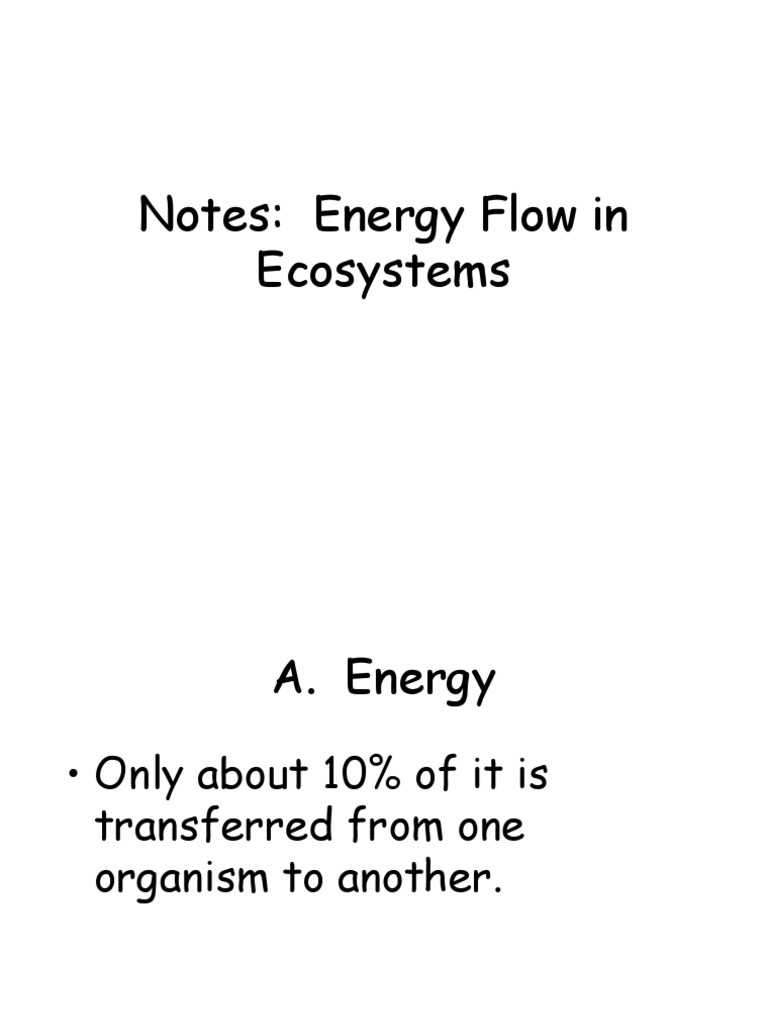 Energy Flow in Ecosystems Explained | PDF