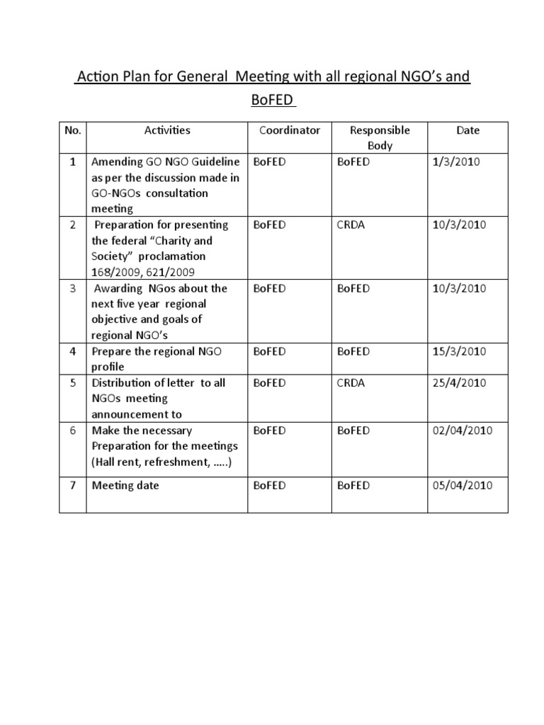 Action Plan for NGO Meeting Coordination | PDF