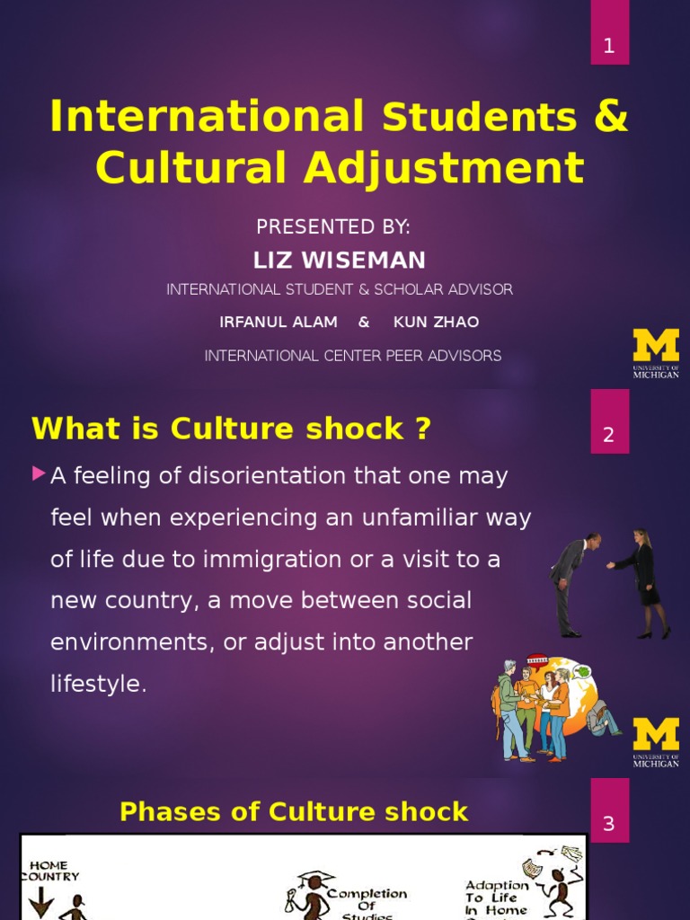 International & Cultural Adjustment: Students | PDF | Wellness