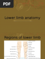 Gluteal Region Anatomy and Landmarks | PDF | Soft Tissue | Limbs (Anatomy)