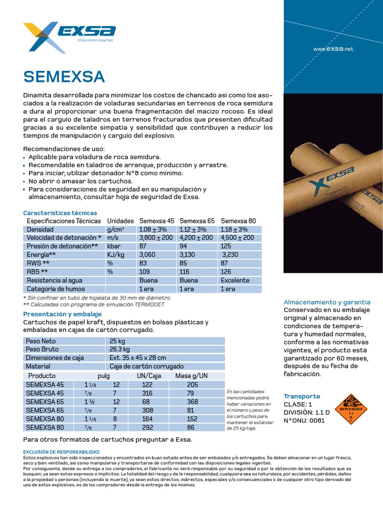 Empresa EXSA | PDF