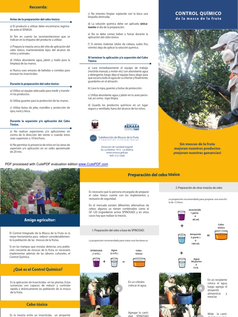 Control Químico de Moscas de la Fruta | PDF