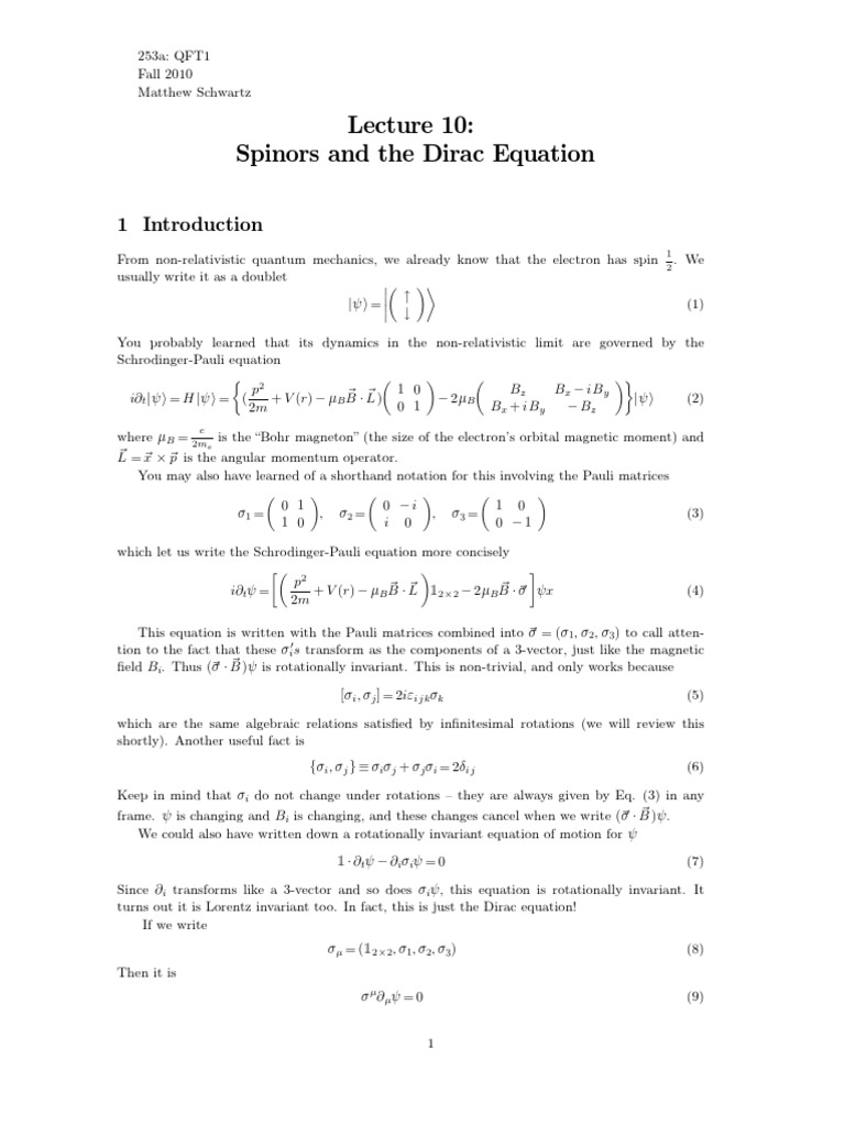 Spinors and The Dirac Equation | PDF | Spin (Physics) | Wave Function