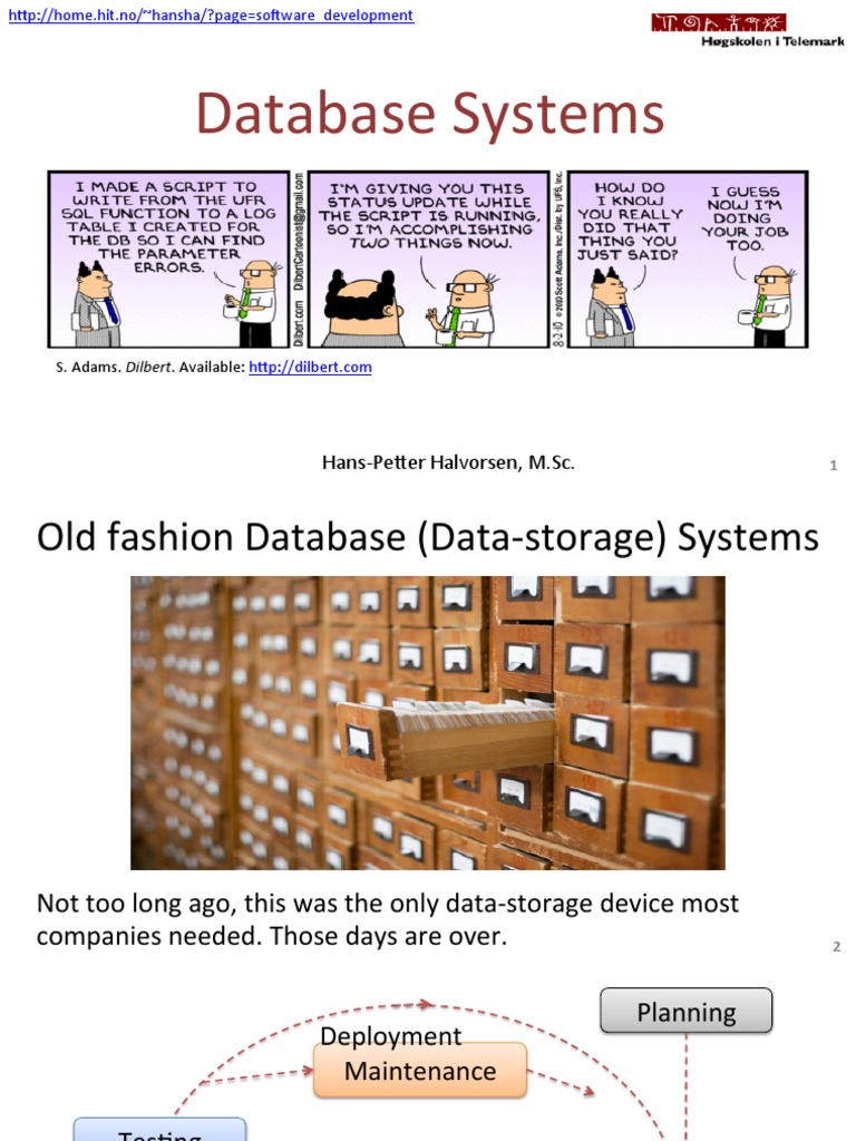 Database Overview | PDF | Databases | Information Technology Management