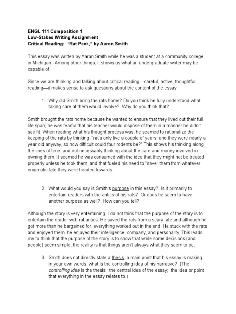 03-critical-reading-continued-essay-by-aaron-smith-essays-cognition