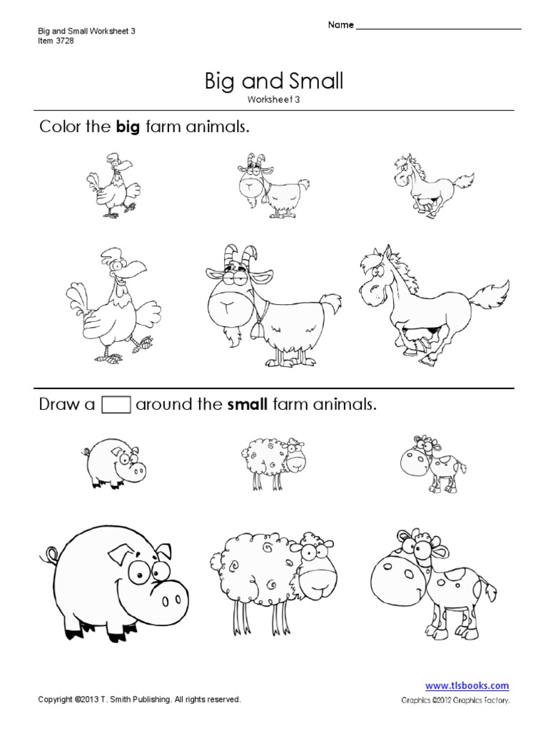 Big And Small Animals