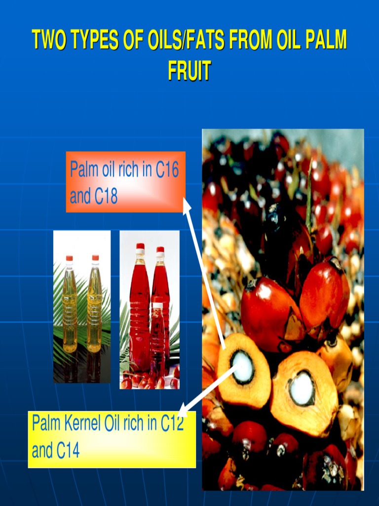 Palm Oil & Kernel Oil Uses and Composition | PDF | Fatty Acid ...