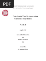Process Flow Diagram - Urea Production Plant | PDF