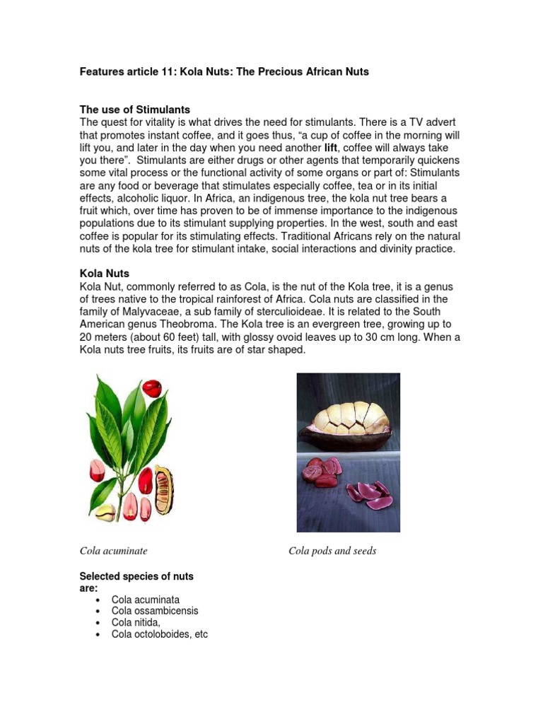 Precious Kola Nuts | PDF | Agriculture | Medicine