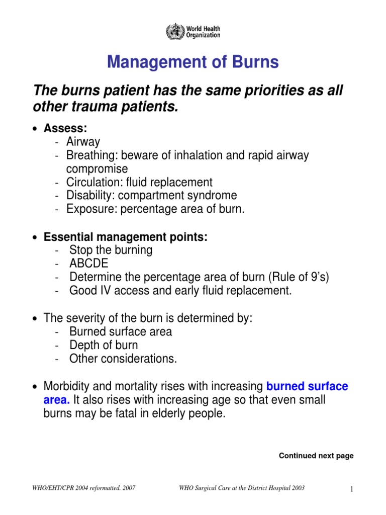 Comprehensive Burn Management Guide | PDF