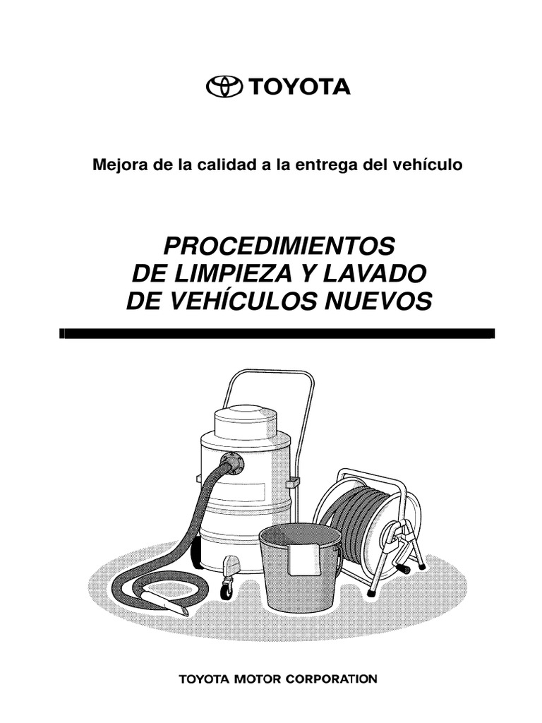 Lavado de Auto | PDF | Detergente | Polvo