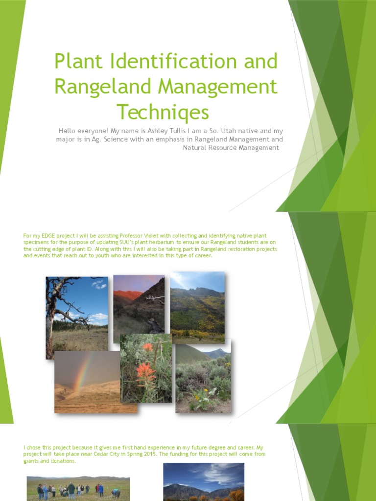 Edge Pitch PP | PDF