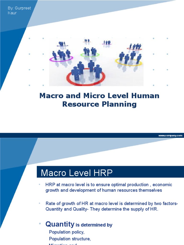 Macro and Micro Level HRP | Markov Chain | Human Resources