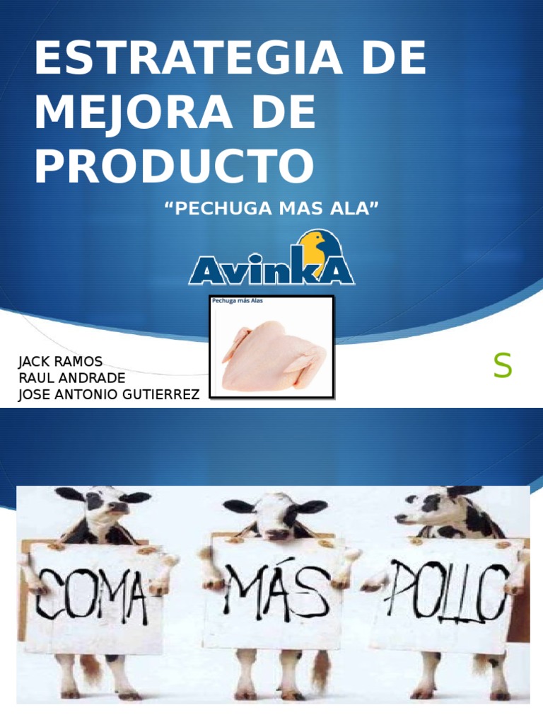 Mejora de Producto Avinka | PDF