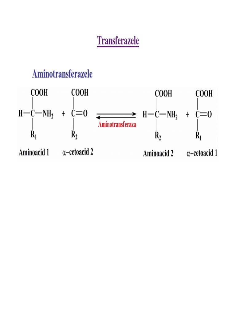 Enzyme Function and Analysis | PDF | Cooking, Food & Wine | Science ...