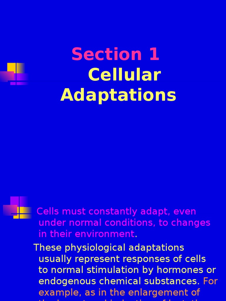 Section 1: Cellular Adaptations | PDF | Epithelium | Cell Biology