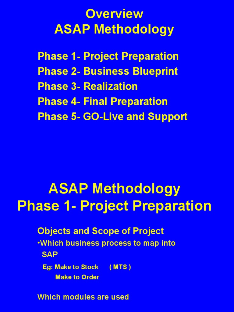 ASAP Methodology | PDF | Business Process | Software Development Process