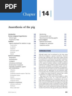 Normal Vital Signs for Common Animals | PDF | Dairy Cattle | Cattle